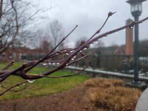 The Seen and Unseen - Author Timothy W. Tron